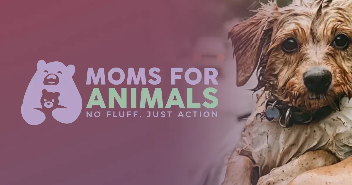 Moms for Animals